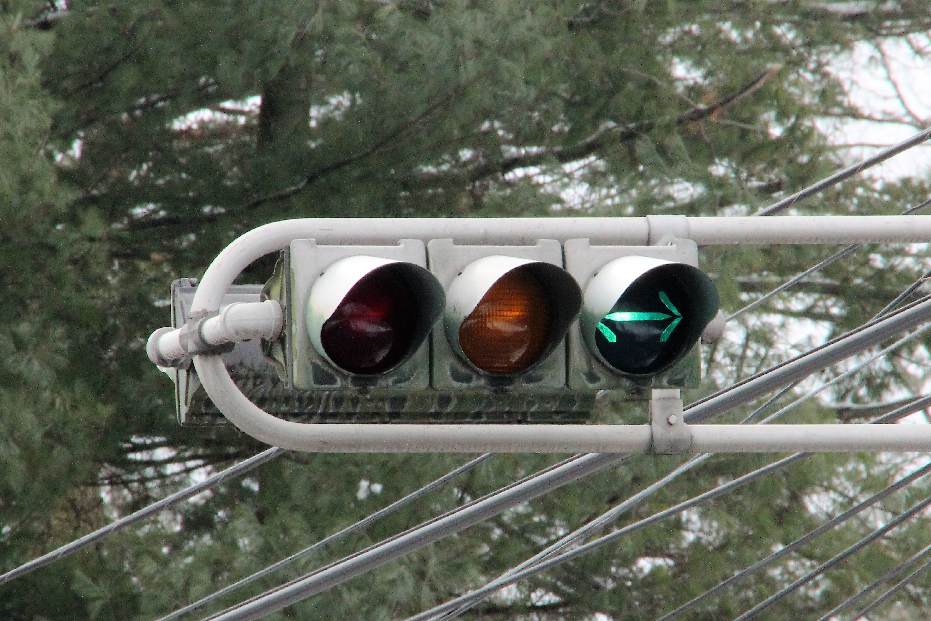 3 Feet From The Street – 3liteguy Signal Salvage – Traffic Signals for Sale